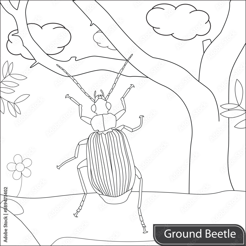 Beetle insect coloring page for kids Stock Vector | Adobe Stock