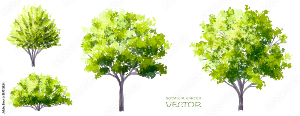 Vector watercolor of tree side view isolated on white background for ...