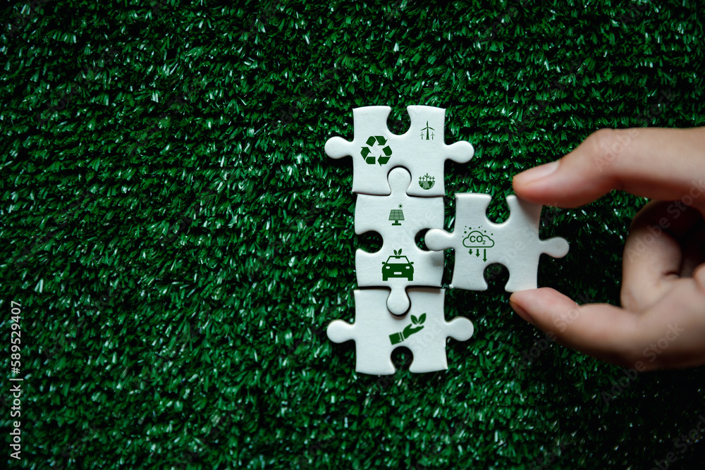 Companies are targeting net zero greenhouse gas emissions. Carbon ...