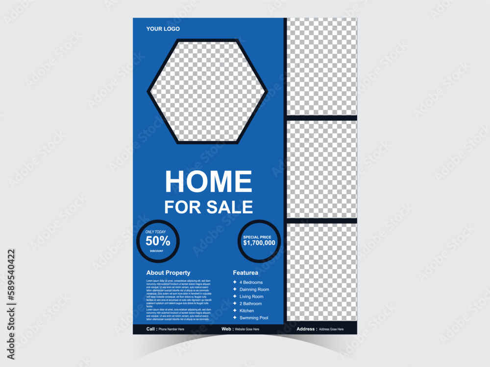 Flyer Design Template. Professional Brochure. Real Estate Poster Vector ...