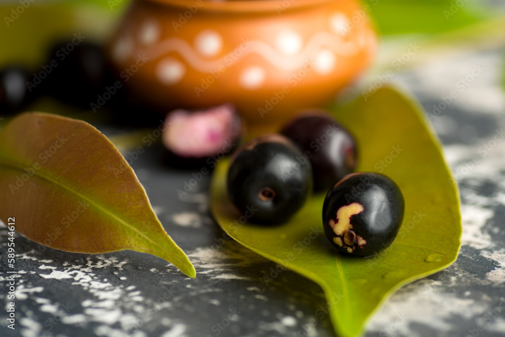 Jambolan plum or jambul or Jamun fruit, Java plum (Syzygium cumini ...