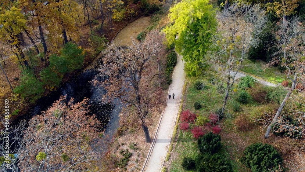 Beautiful view people walking on ground paths near the lake in a park ...