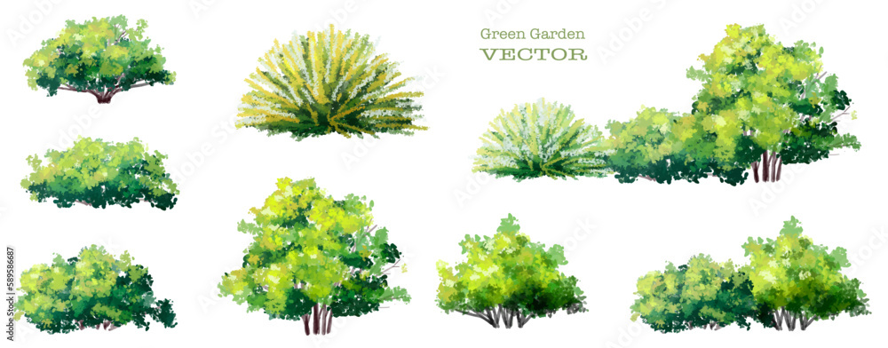 Vector watercolor of tree side view isolated on white background for ...