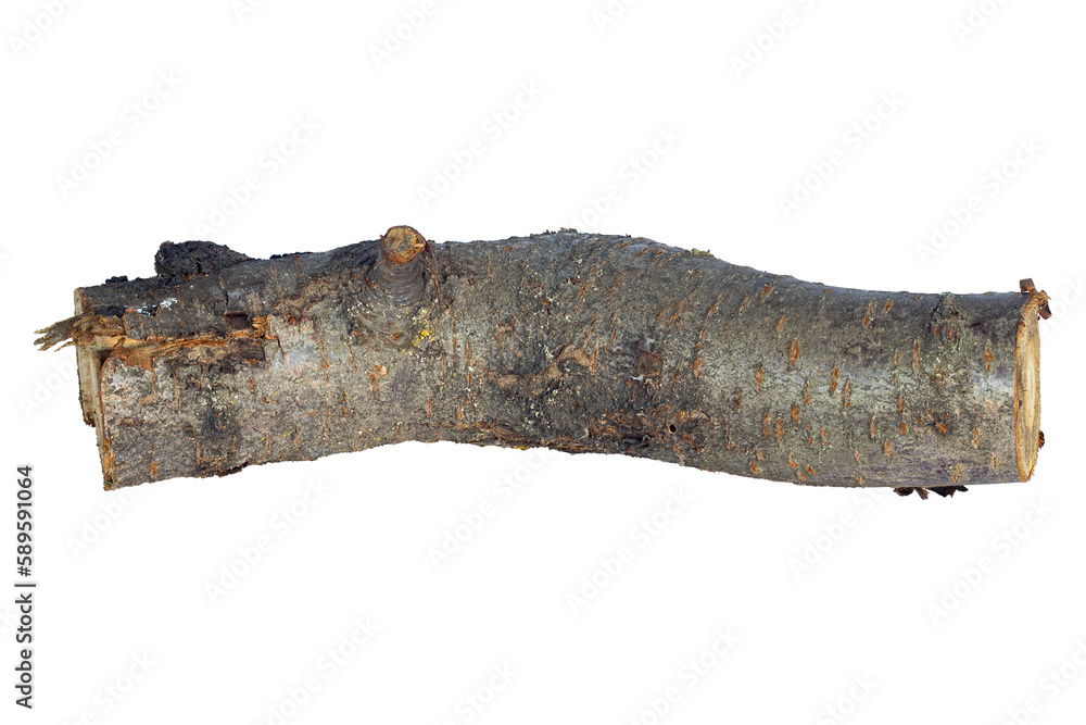 log, log wood, saw cut stick isolate Stock Photo | Adobe Stock