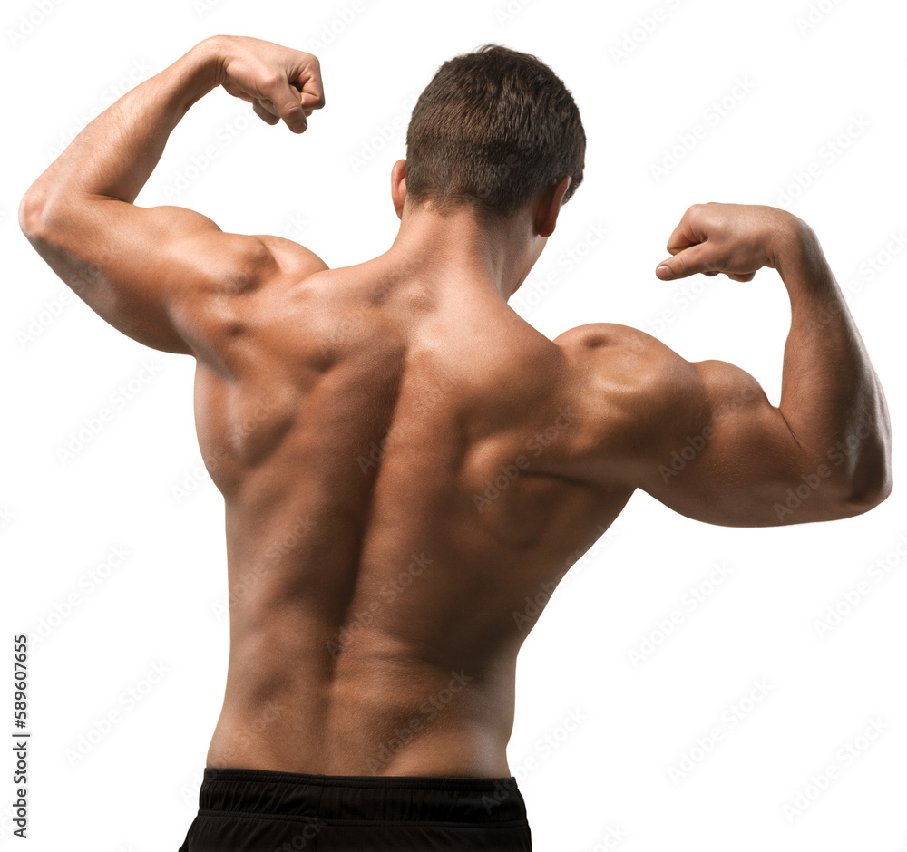 Cropped image of bodybuilder showing his back, shoulders, triceps and ...