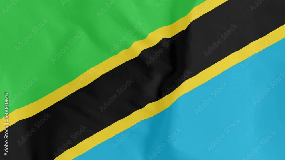 Tanzania Flag. Seamless loop animation of the Tanzania Flag. 4K. 3D ...