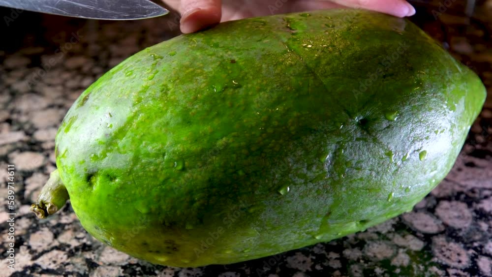 Papaya plantation. Papaya on tree, lots of fresh papaya on tree. Many ...