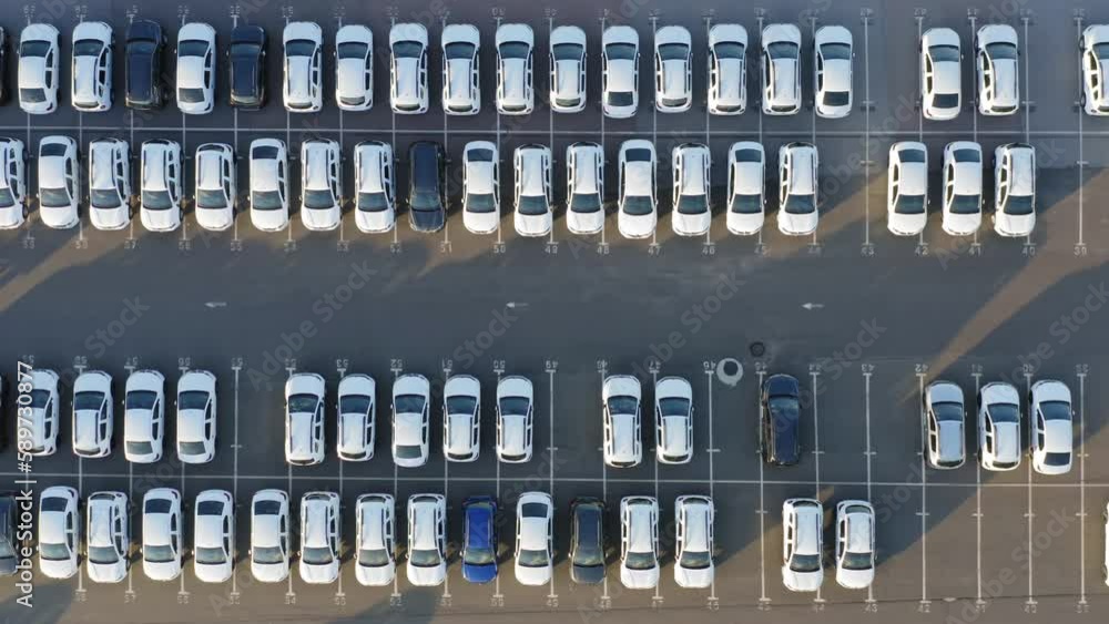 Aerial top down view of a dealership cars export or customs terminal in ...