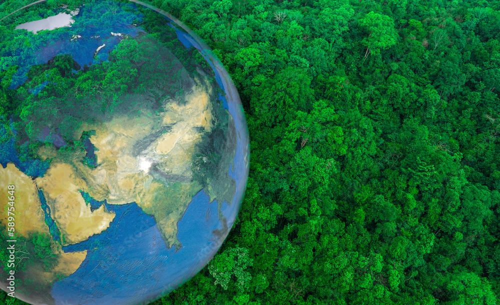 Atmospheric aerial view of the green forest with the earth Demonstrate ...