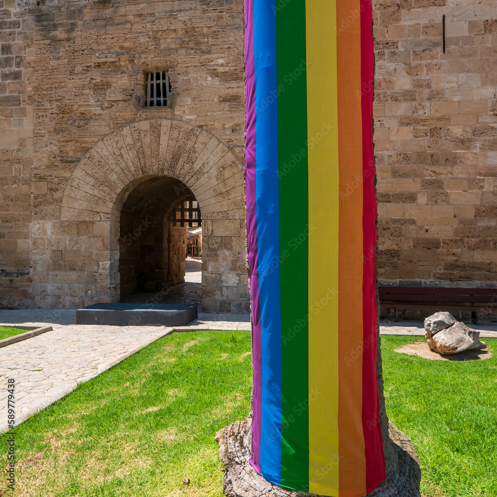 Palm tree with a rainbow flag like a symbol of tolerance for ...