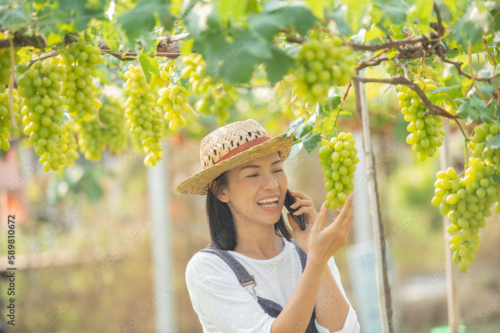 female wearing overalls and farm dress straw hat, Smart farming ...