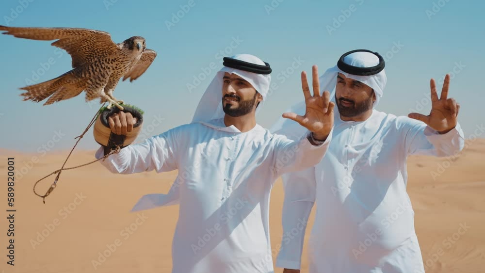 Falconer training his falcon bird in the desert of Dubai. Locals ...