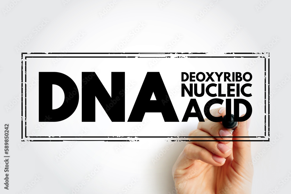 DNA Deoxyribonucleic Acid - hereditary material in humans and almost ...