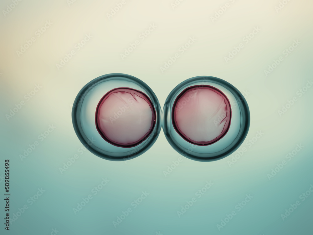 Cells division process, Cell divides into two cells Stock Illustration ...
