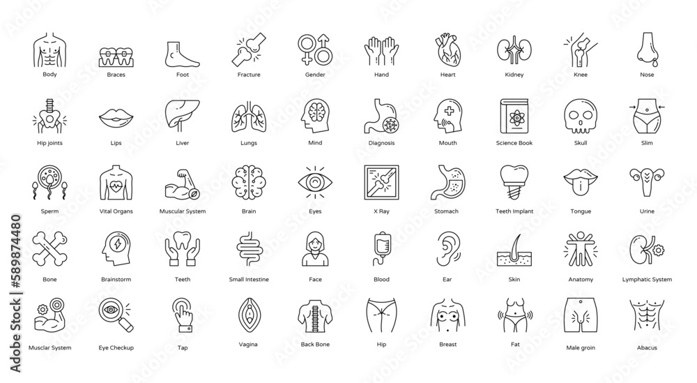 Anatomy Thin Line Icons Human Body Organ Icon Set in Outline Style 50 ...
