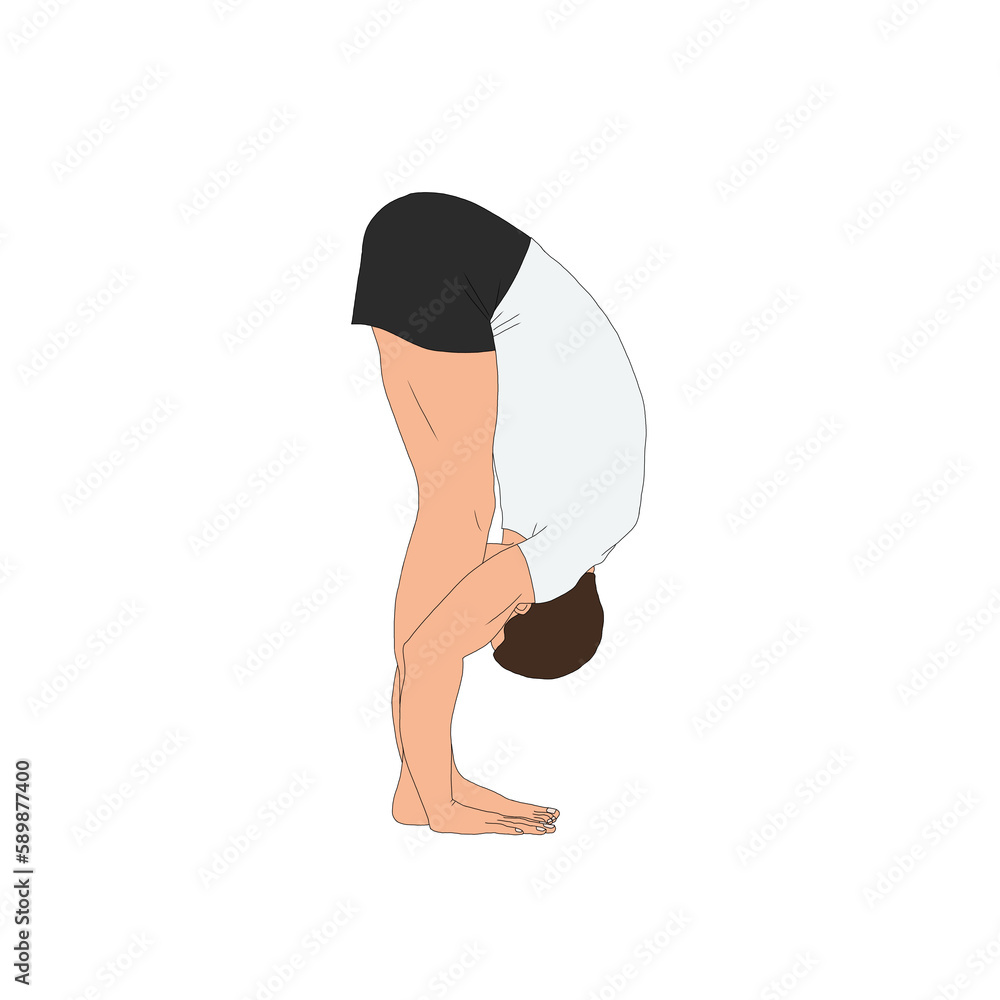PNG Standing Forward Fold (Bend) / Uttanasana. Flexible standing man ...