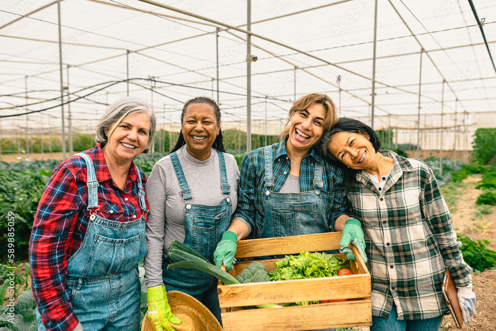 Happy multiracial women farmers working inside greenhouse - Farm people ...