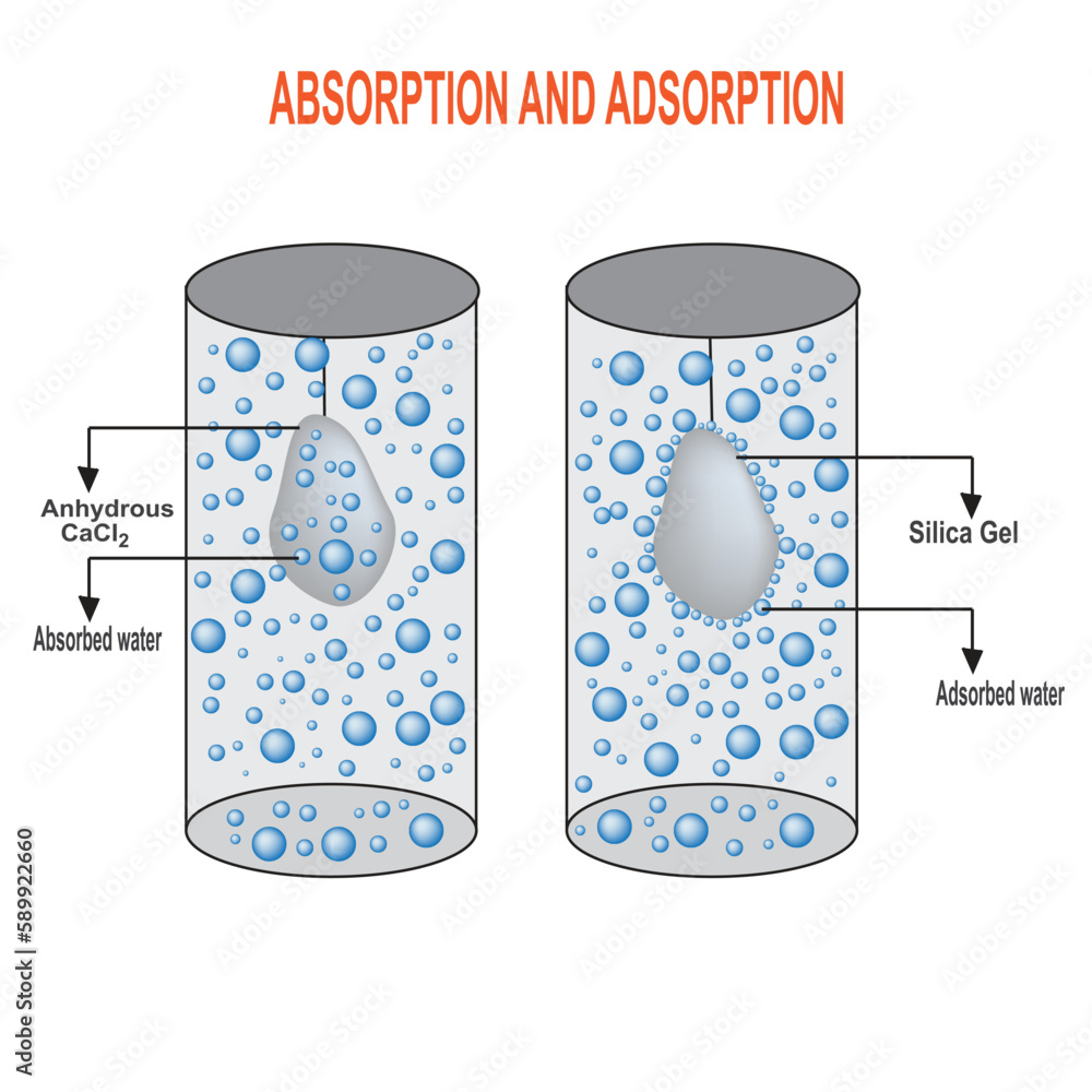 Vektorová grafika „difference between adsorption and absorption on ... Vektorová grafika „difference between adsorption and absorption on ...
