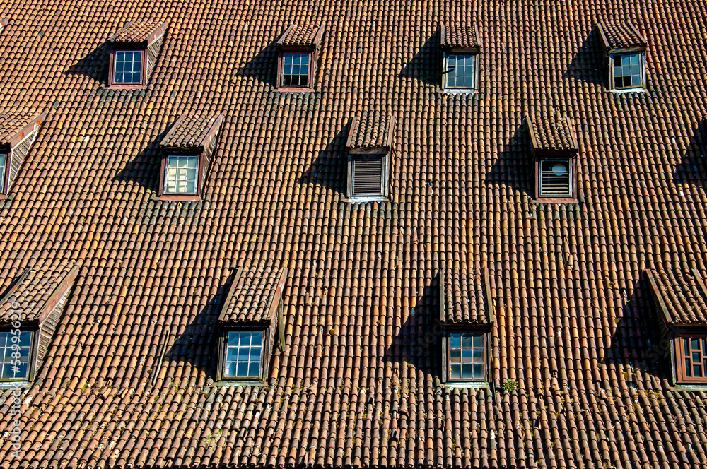 Massive tiled roof straight view with row of protruding windows on ...