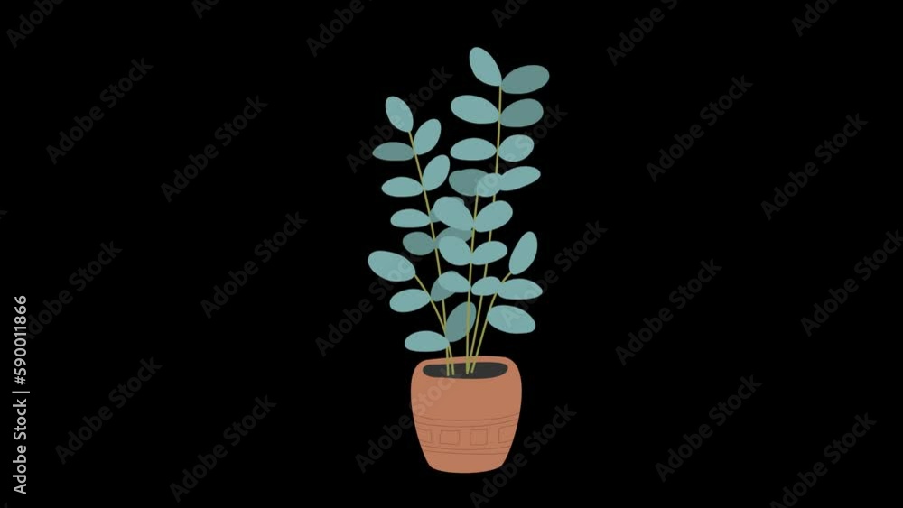 Animated illustration of a zamioculcas plant in a ceramic pot ...