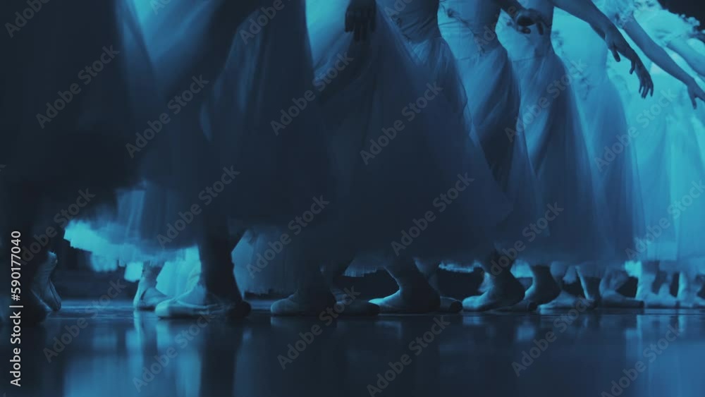 The ballerina stand in a row and change the position of her legs. then ...