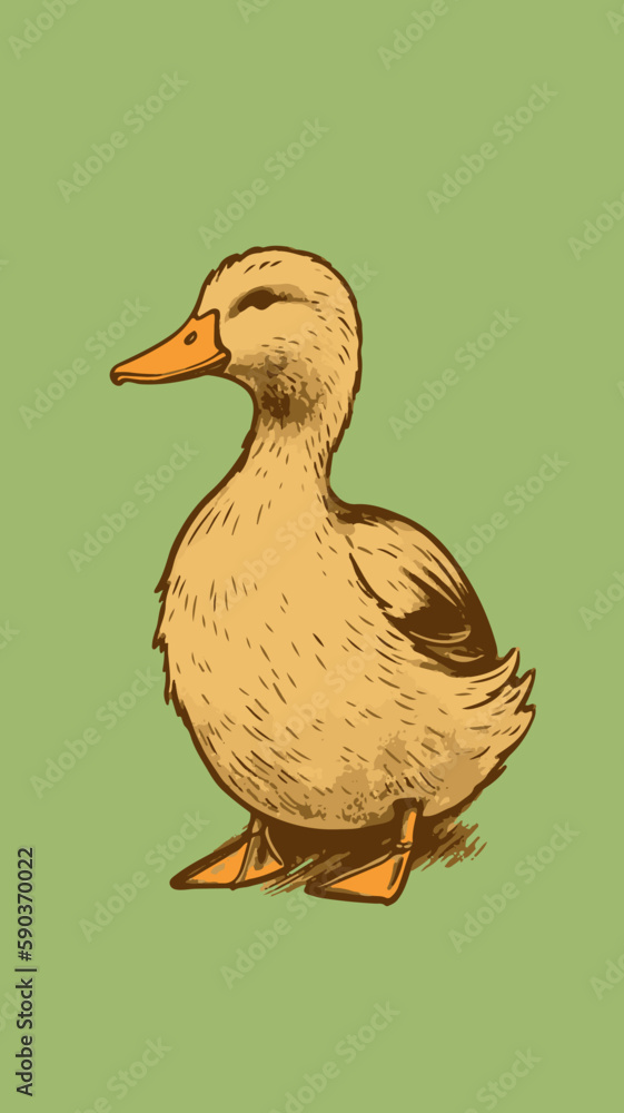 Vintage Duck Drawing Vector, Editable in Illustrator Stock Vector ...