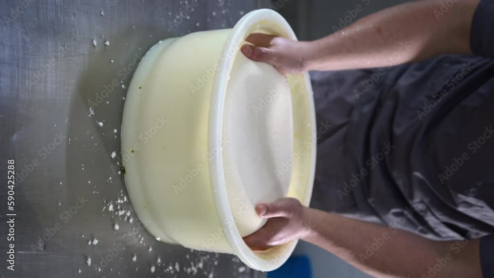 Cheese maker in uniform forming cheese into molds and putting number ...