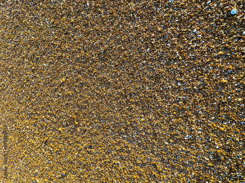 Shingle, sand grains and broken pieces of shell, that make up the sands ...