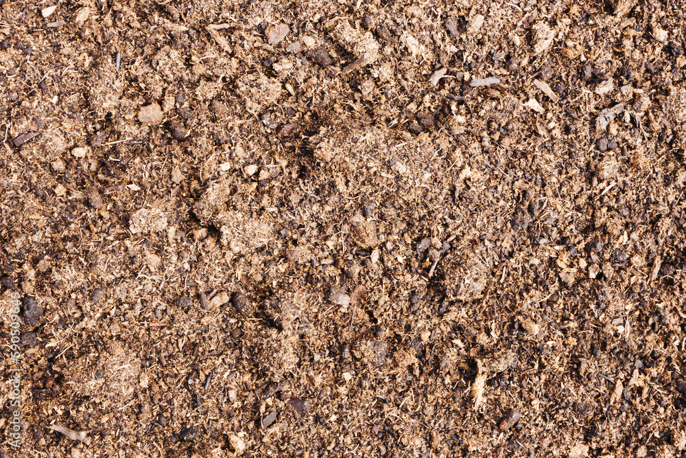 Soil texture. Ground background. Earth texture. Sand background. Seed ...