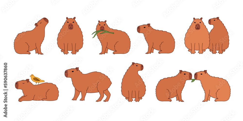 Capybara characters set. Cute cartoon animals in cartoon style Stock ...