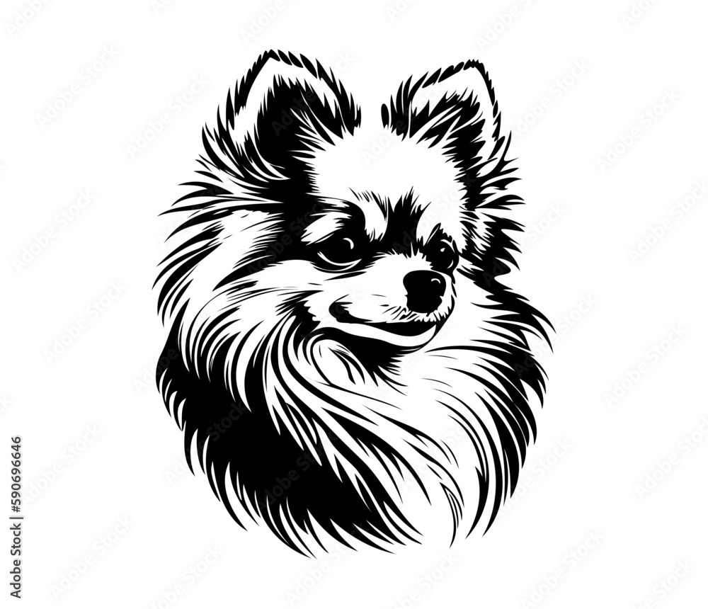 Pomeranian Face, Silhouettes Dog Face SVG, black and white Pomeranian ...