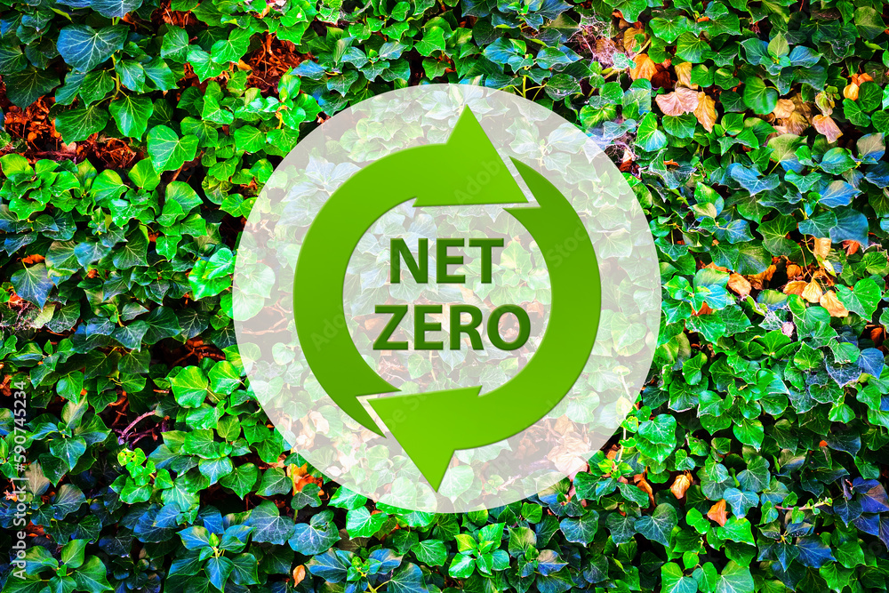 Net zero, icon on the background green leaves. Zero emissions concept ...