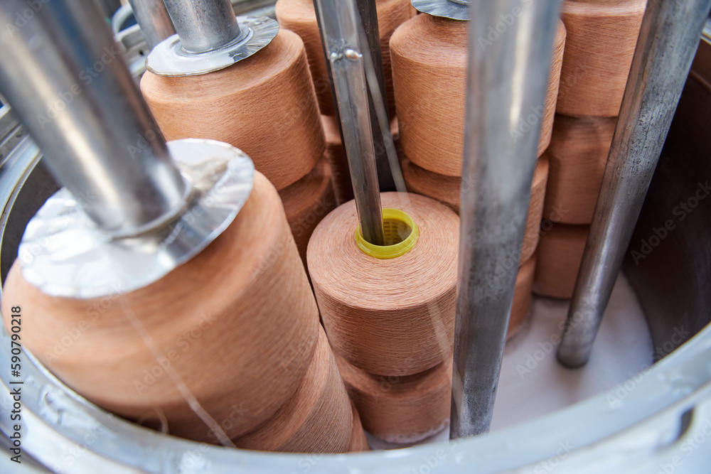 Pink skin colour spindles of industrial cotton in a weaving factory ...