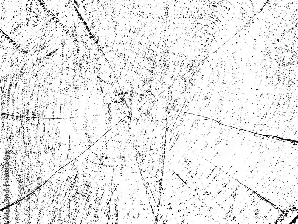 Vector grunge texture of maple cross section with cracks on monochrome ...