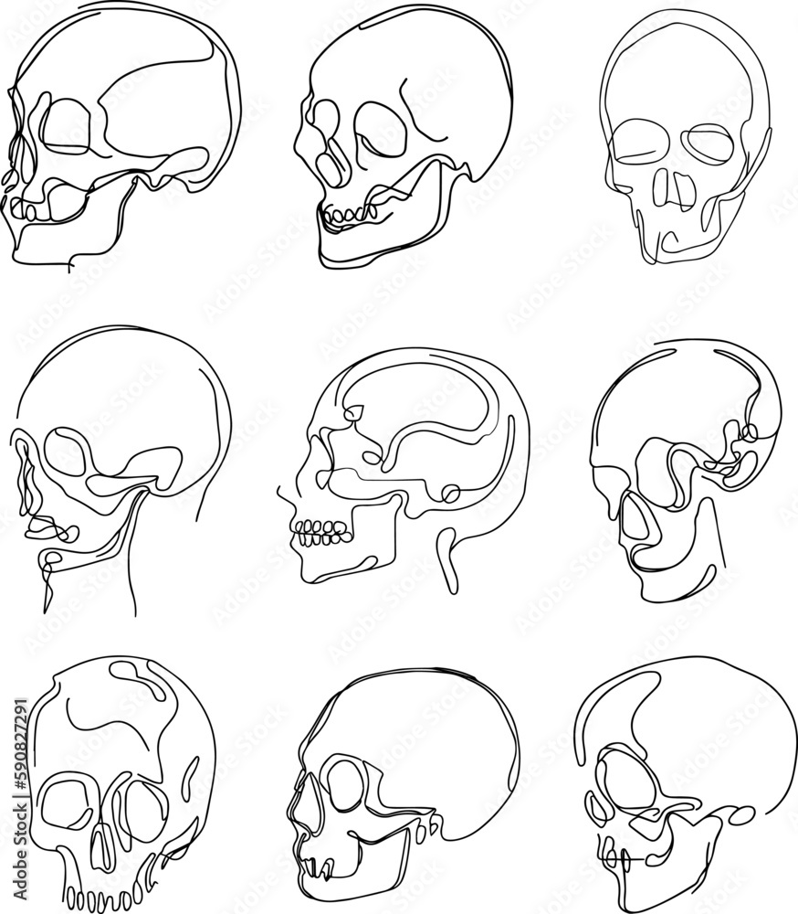 Abstract Skull Drawings