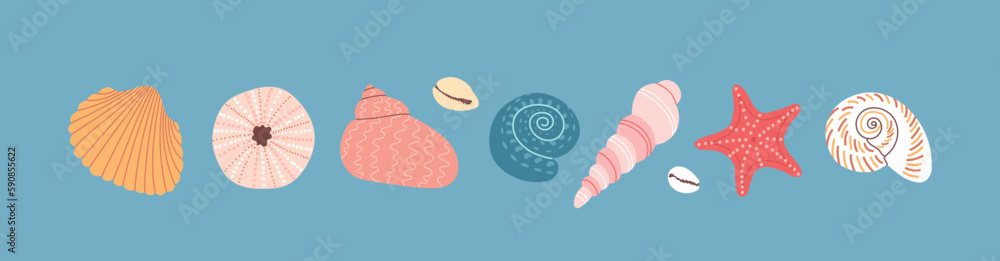Set of colorful sea shell, starfishe on a blue background. Hand drawn ...