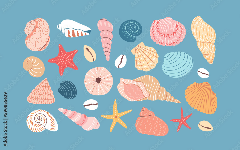 Set of various sea shells and starfish on blue background. Hand drawn ...
