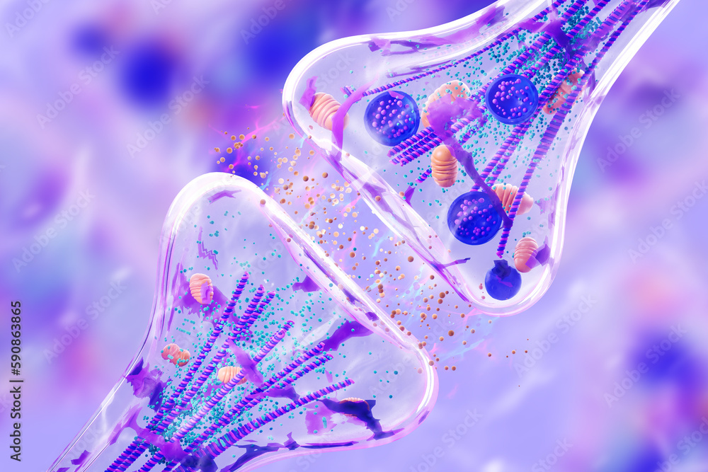 Scientific visualization of signal transmission between two synapses in ...
