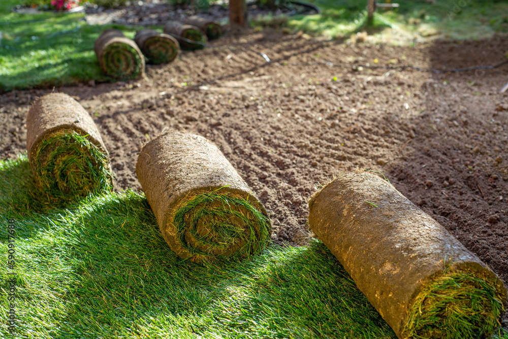 Foto de Stack of turf grass for lawn. roll of sod, turf grass roll. do ...