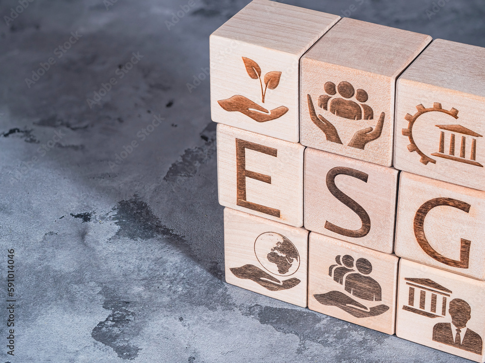 ESG symbols as a concept of company governance principles Stock Photo ...