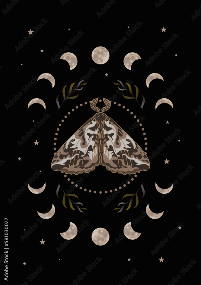 Moth, phases of the moon and stars, herbs. Vector illustration in ...