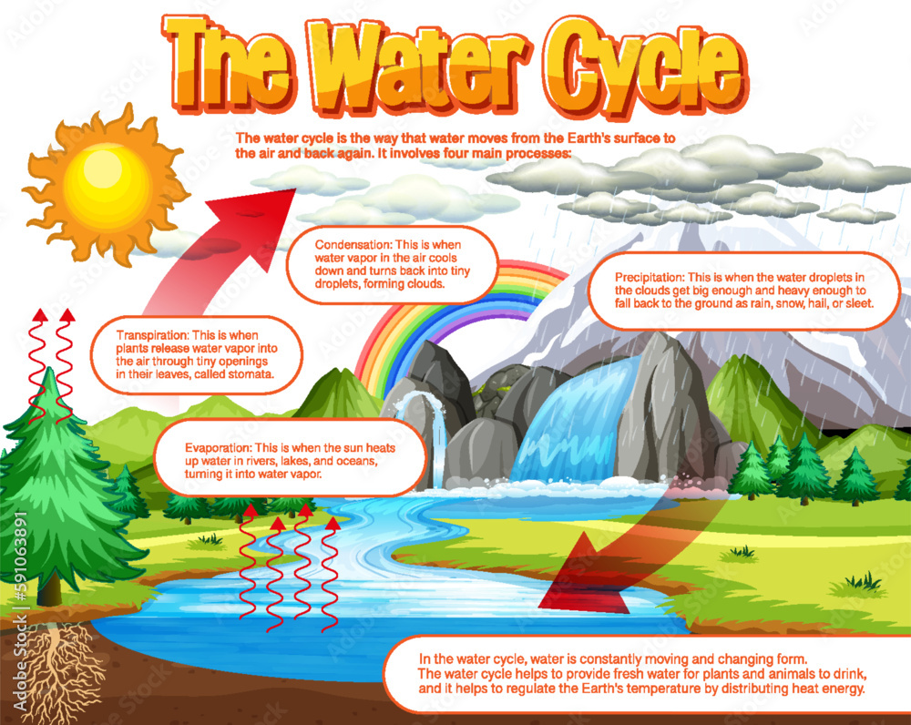 The water cycle diagram for science education Stock Vector | Adobe Stock