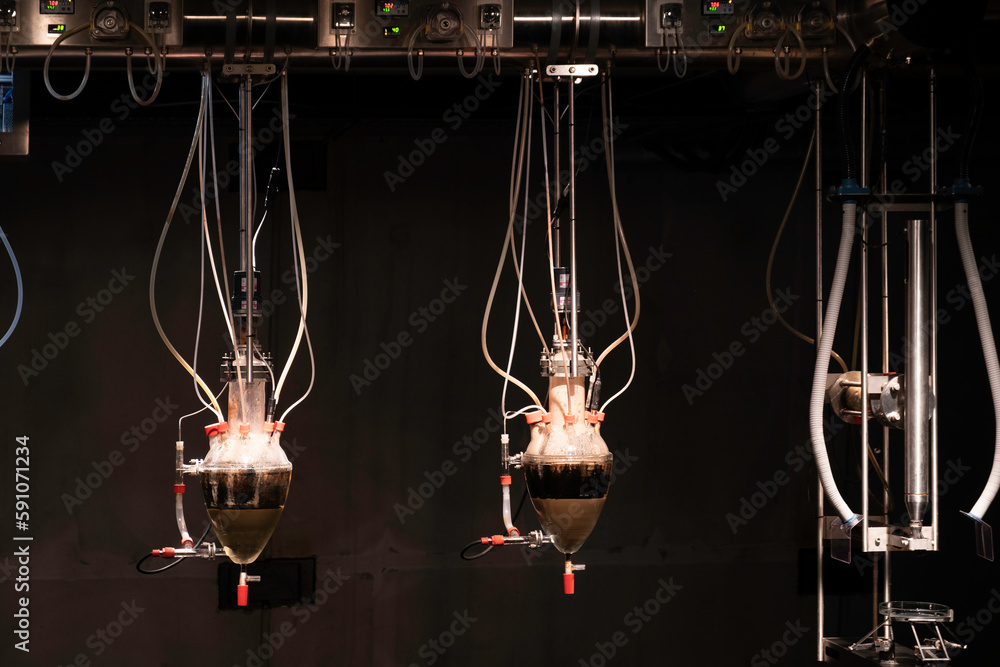 HOBART, TAS, AUSTRALIA - MARCH 02 2023: Cloaca by Wim Delvoye is a ...