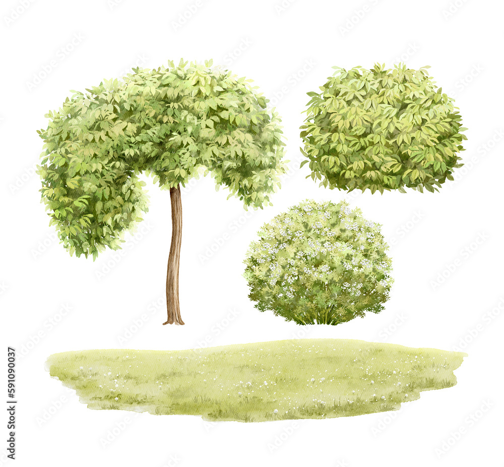 Watercolor set with cartoon tree, green grass lawn and bushes isolated ...