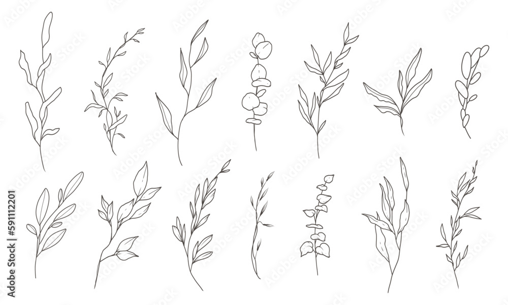 Minimal trendy elements of wild and garden plants, branches, leaves ...