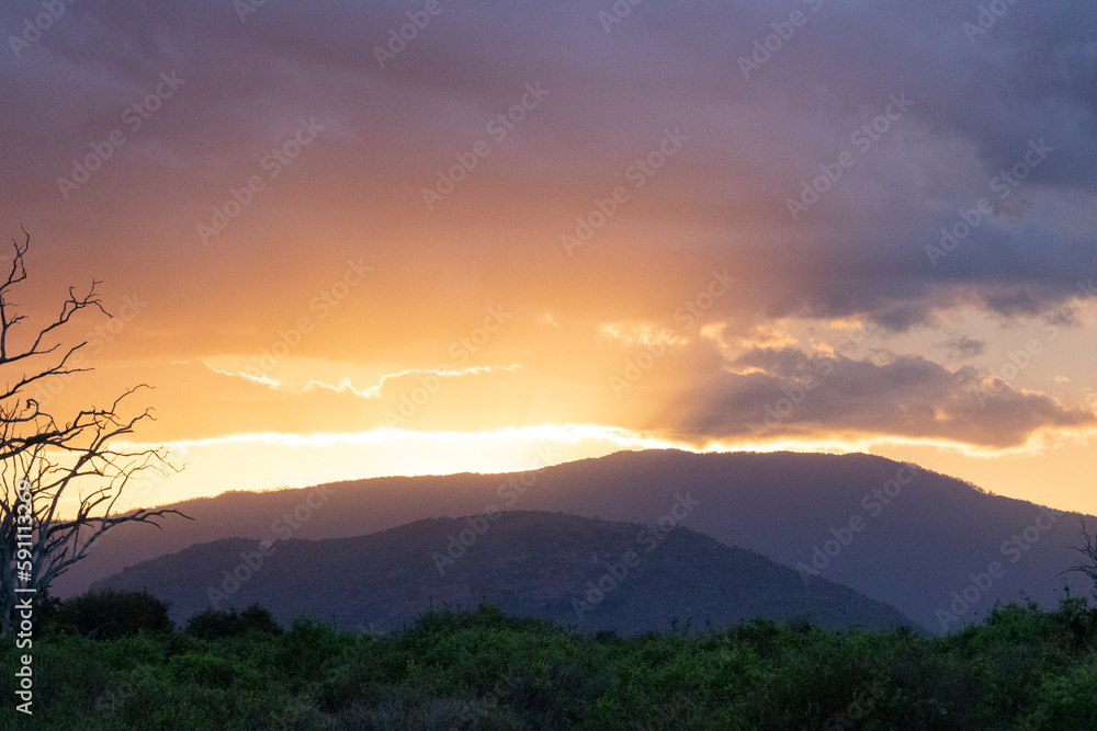 Beautiful landscape in Africa, savanna taken on a safari. beautiful ...