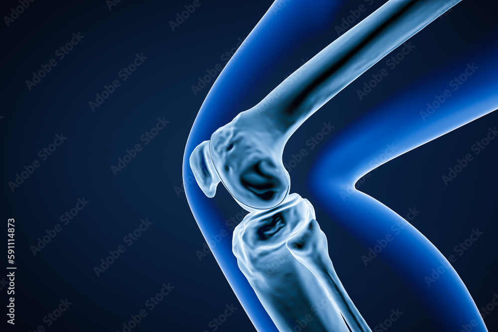 Close-up profile or lateral view of the knee joint bones 3D rendering ...