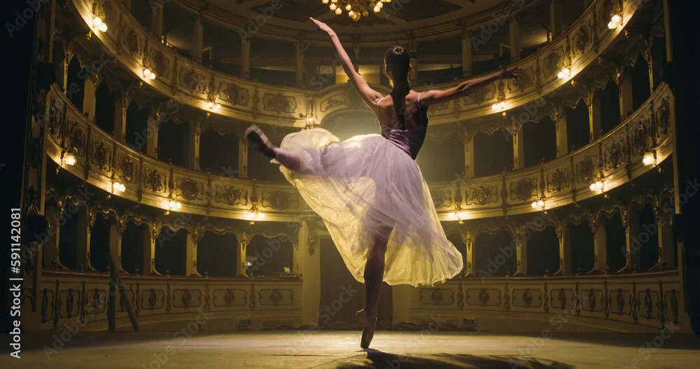 Foto de Low Angle Shot of Young Graceful Classical Ballet Female Dancer ...