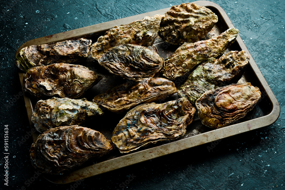 closed oysters, fresh oyster shell, mollusks in seafood market. On a ...