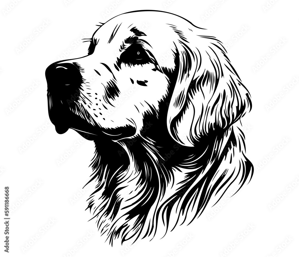 Golden Retriever, Silhouettes Dog Face SVG, black and white Golden ...